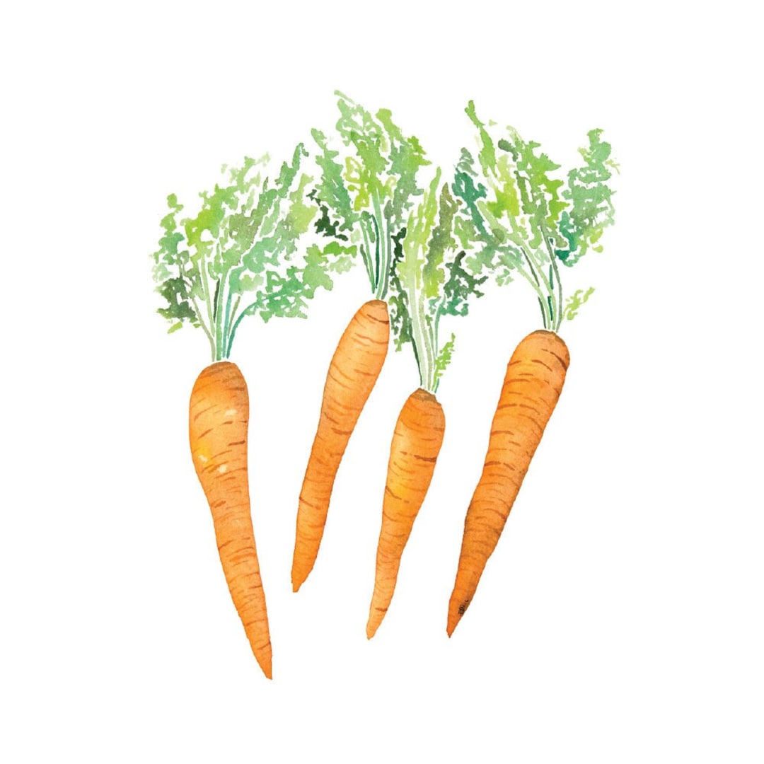 Four Carrots Print - 4x6 Print 8x10 Print - Bright Cheerful Watercolor ...