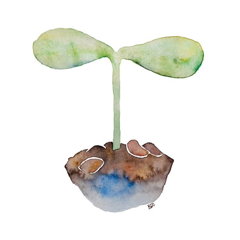 Little Seedling 4x6 8x10 Art Print, A4 Plant Sprout Nursery Wall Art ...