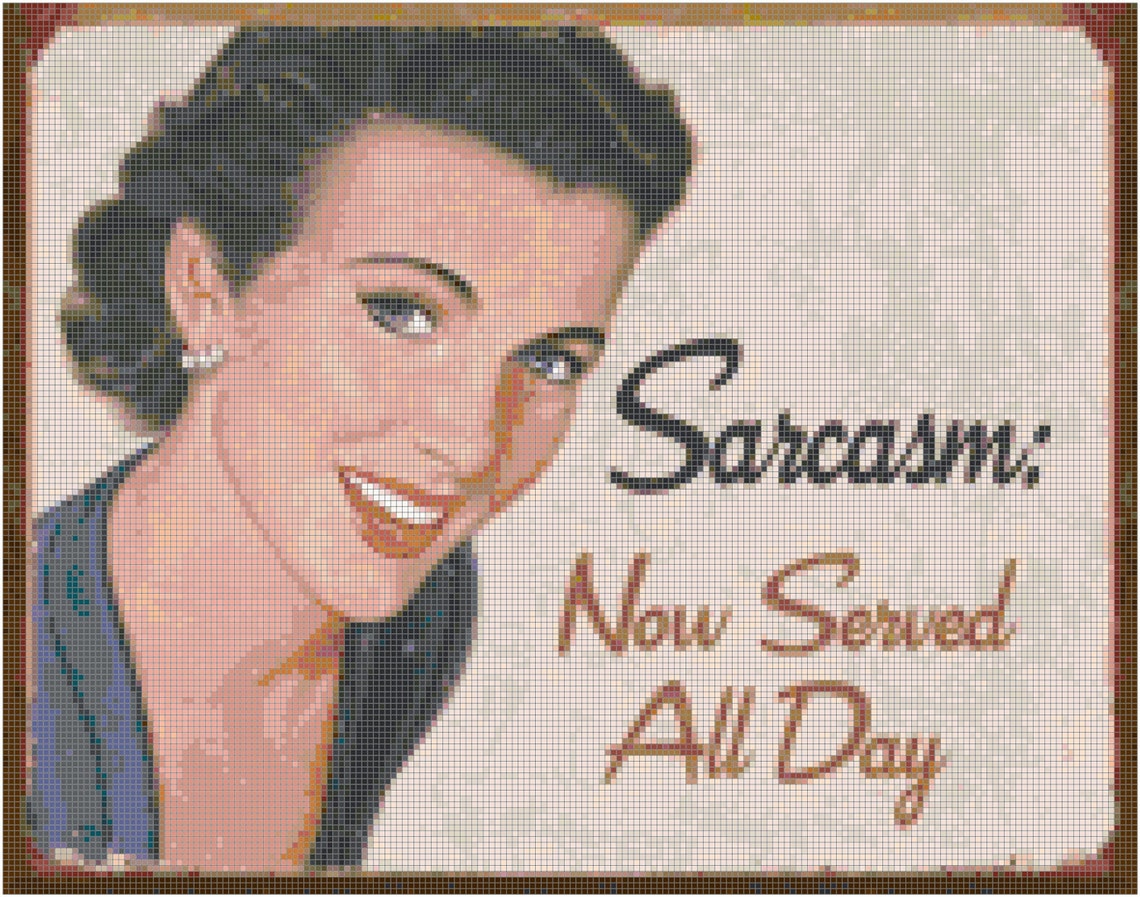 Cross Stitch Pattern - Funny Sarcasm PDF - Instant Digital Download - Etsy