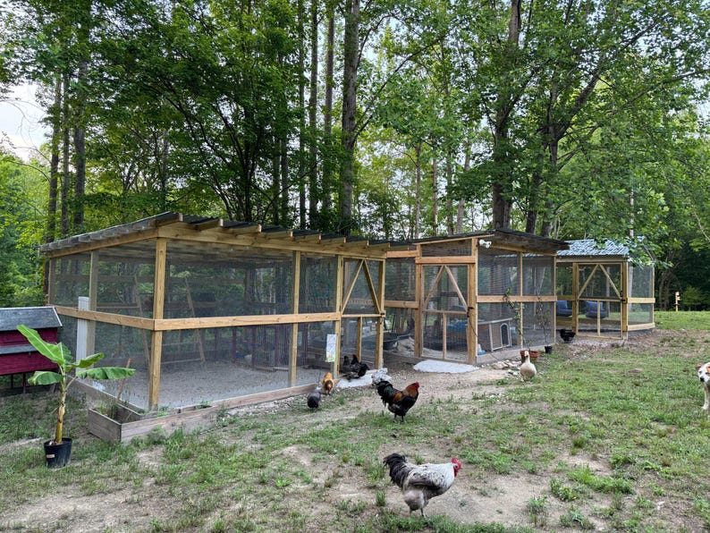 Angled Roof Chicken Run - 15x15 DIY Plans - Etsy