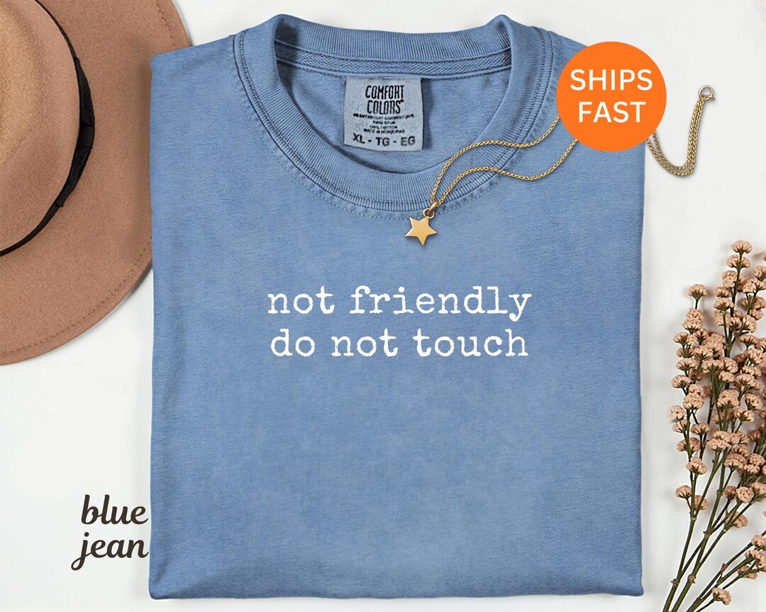 Comfort Colors® Not Friendly Do Not Touch | Sarcastic Text Tee - Etsy