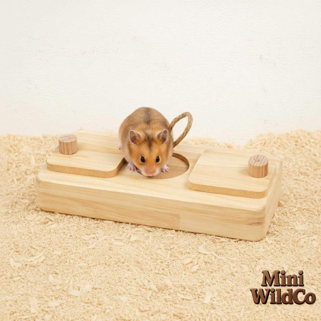 Hamster Toys - Chew Toys, Hamster Cage, Interactive Toy, Hamster Food ...