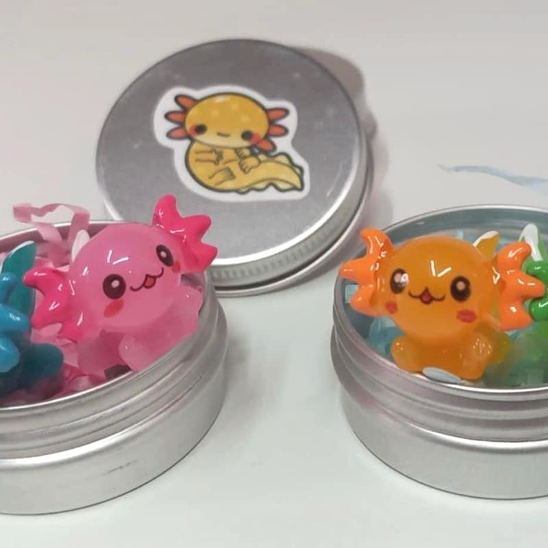 Axolotl Mini Resin - Etsy UK