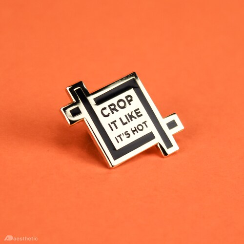 Introvert Award Enamel Lapel Pin - Etsy