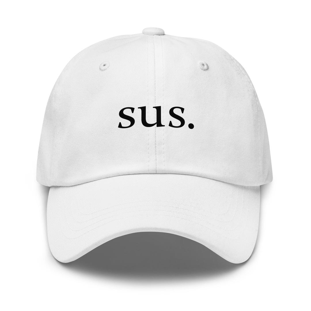 SUS Dad Hat | Minimalist Humor Cap | Funny Work Hat | Internet Meme Dad ...