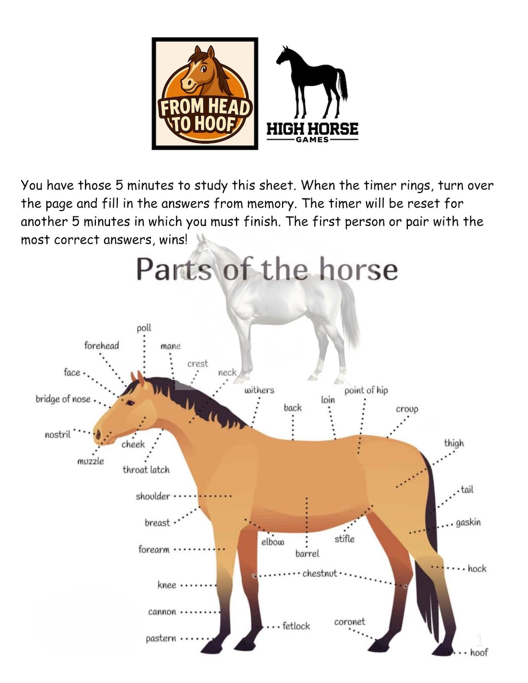 Horse Body Parts is an Educational Activity Sheet That is Icebreaker ...