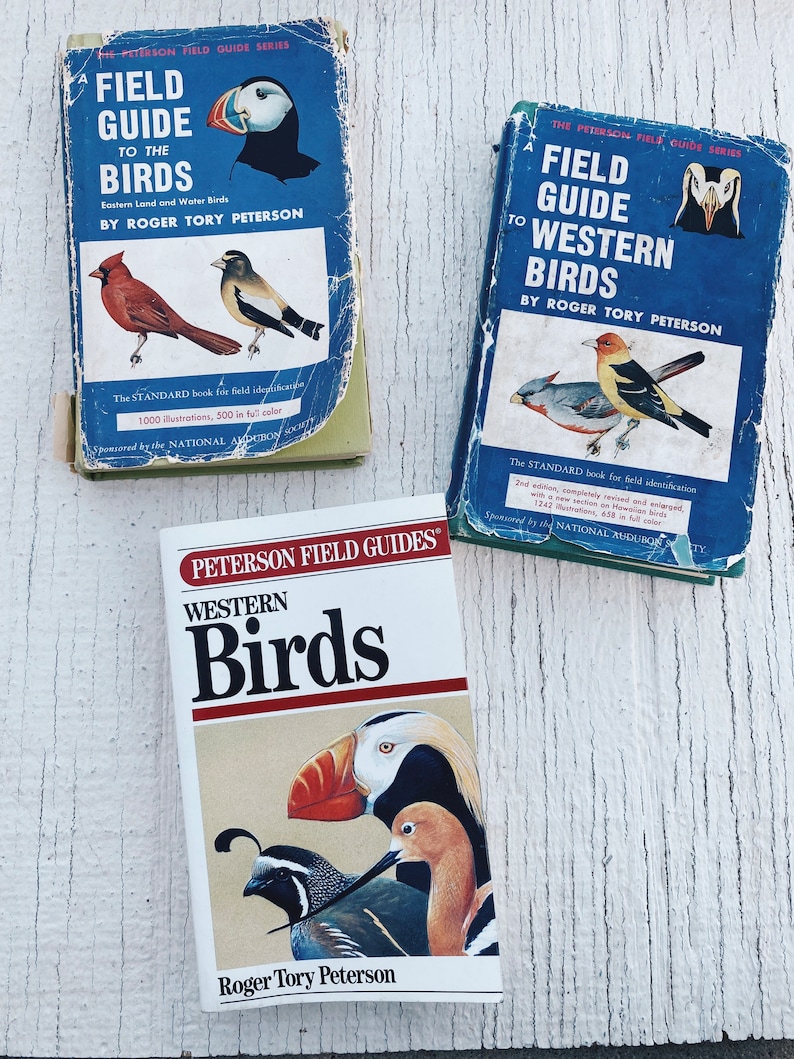 Vintage the Peterson Field Guide Series- Birds Nature Guide Hard Cover ...