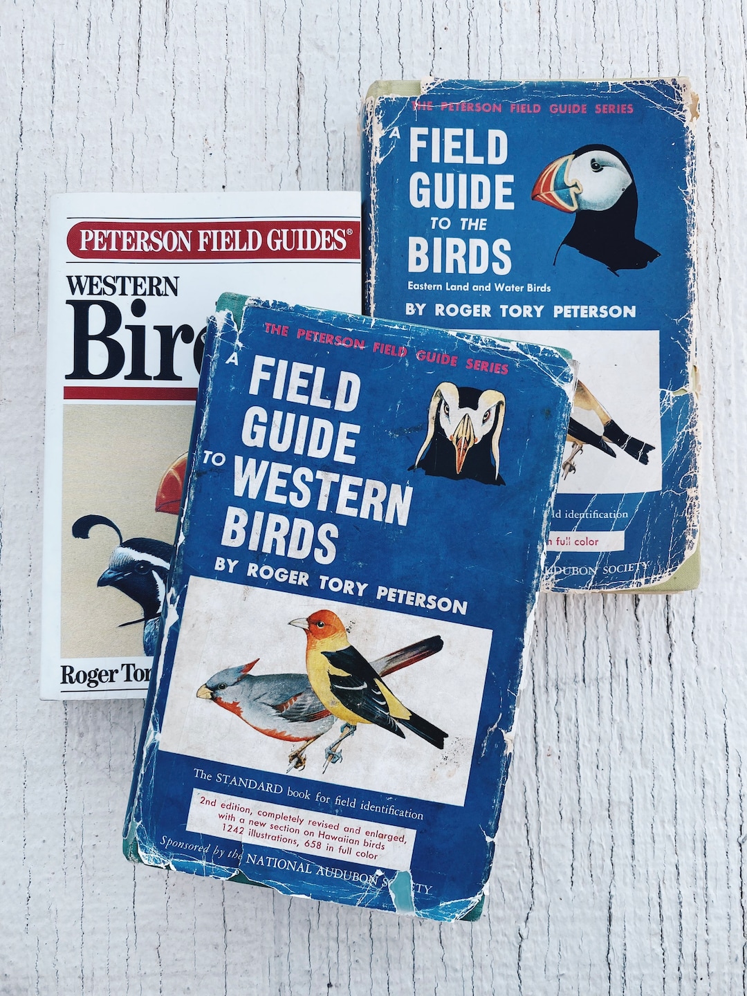 Vintage the Peterson Field Guide Series- Birds Nature Guide Hard Cover ...
