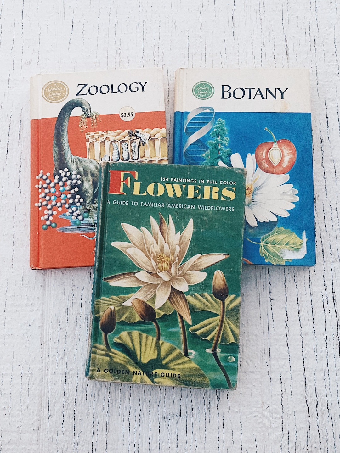 Vintage A Golden Guide Book 1950s, Zoology, Botany, Flowers Vintage ...