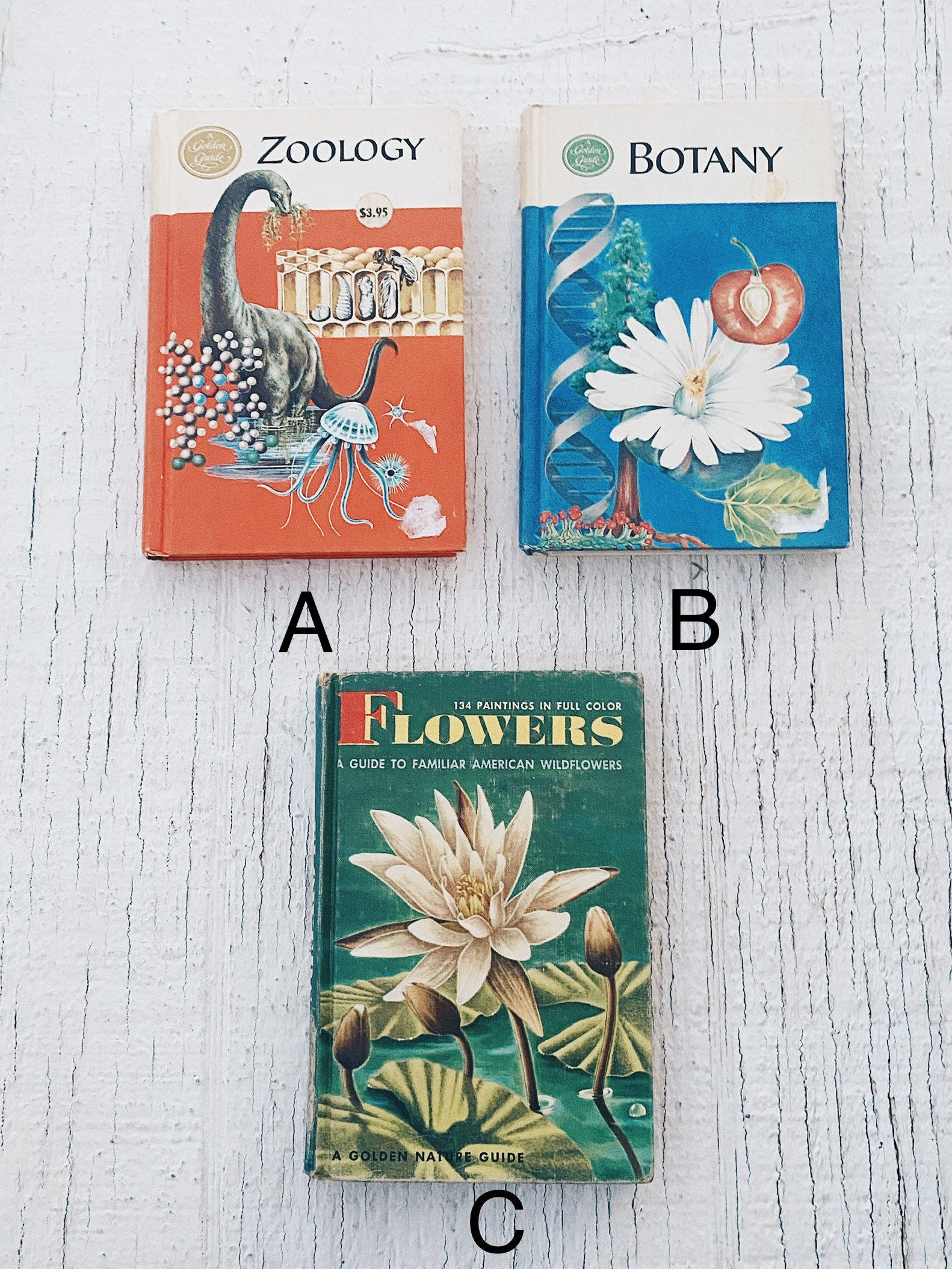 Vintage A Golden Guide Book 1950s, Zoology, Botany, Flowers Vintage ...