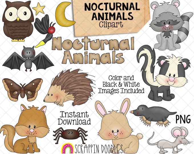 Animal nocturno - Imágenes prediseñadas de animales nocturnos - 22005 ...