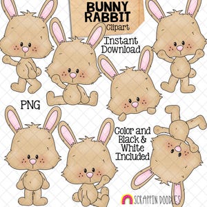 Bunny Clip Art - Rabbits in Different Poses - Baby Bunnies - Commercial ...