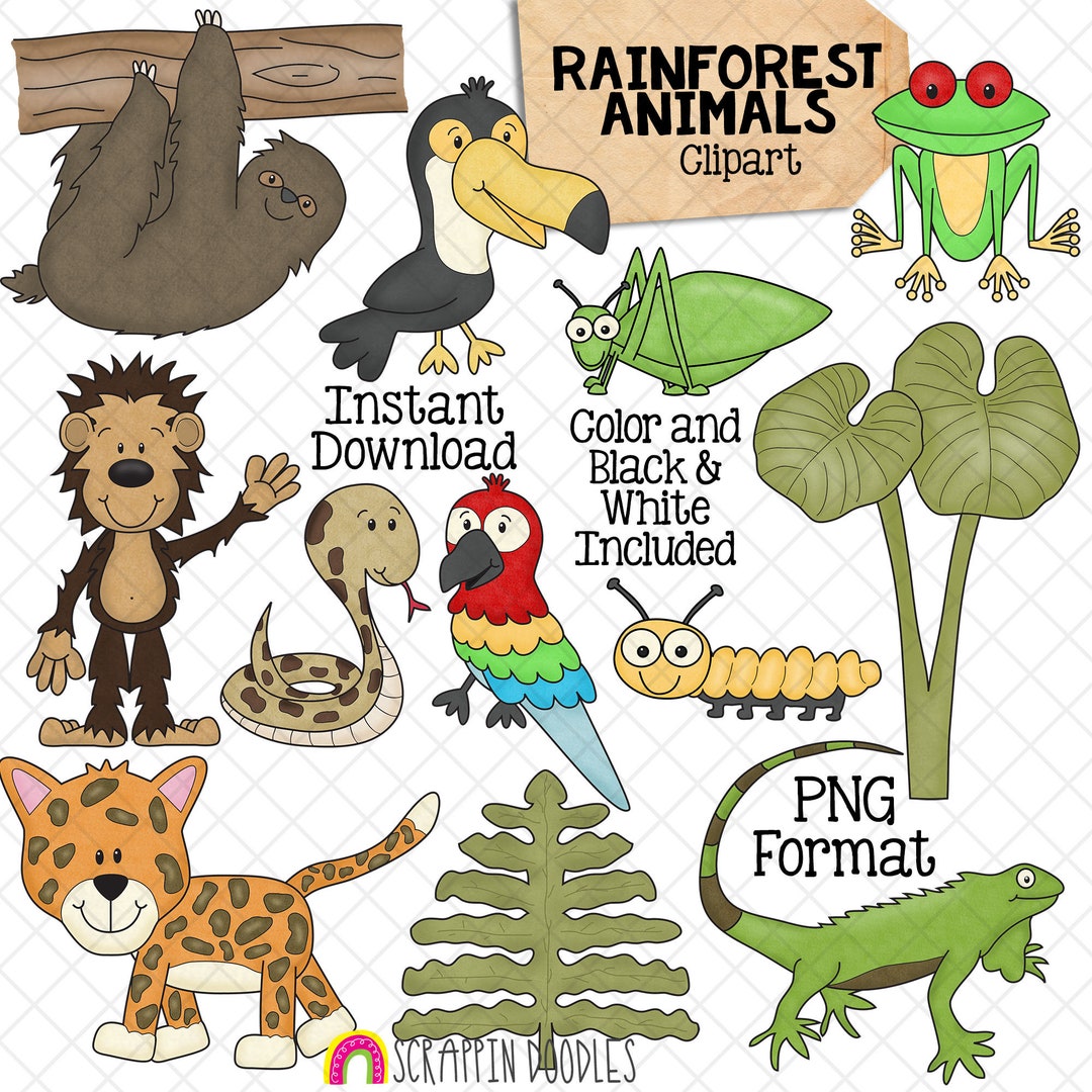 Rainforest Clipart - Habitat - Sloth - Jaguar - Toucan - Red Eyed Tree ...