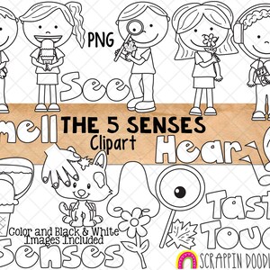 5 Senses Clip Art - Five Human Senses - Hear -see -taste - Touch ...
