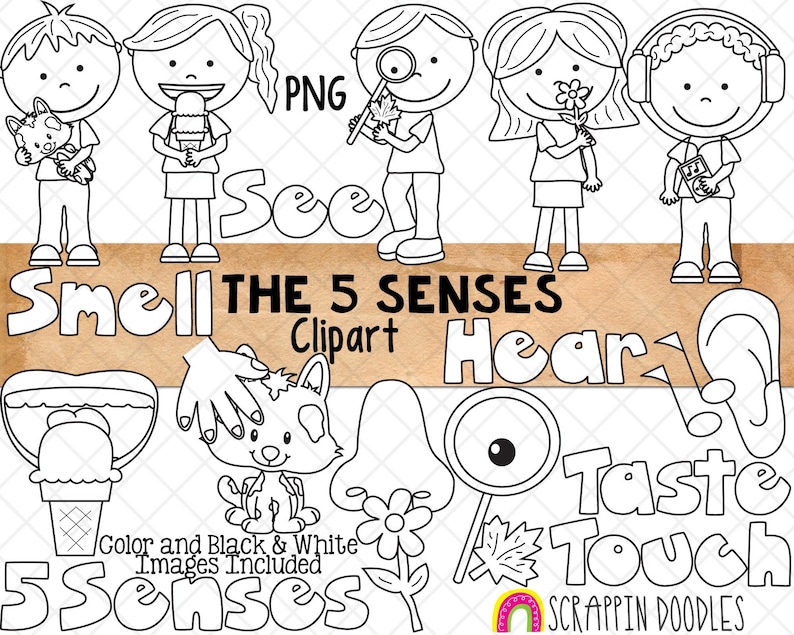5 Senses Clip Art - Five Human Senses - Hear -see -taste - Touch ...