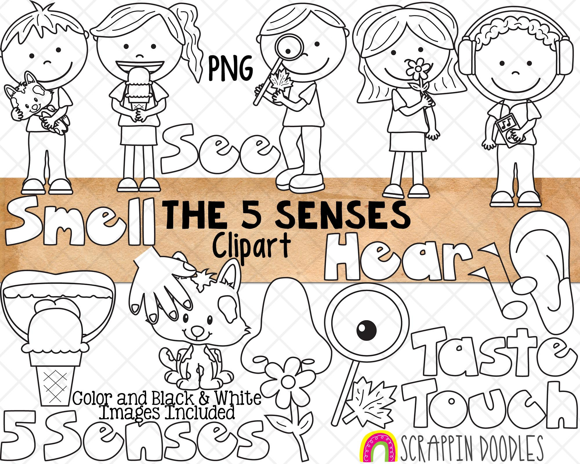 5 Senses Clip Art Five Human Senses Hear see taste Touch Smell ...