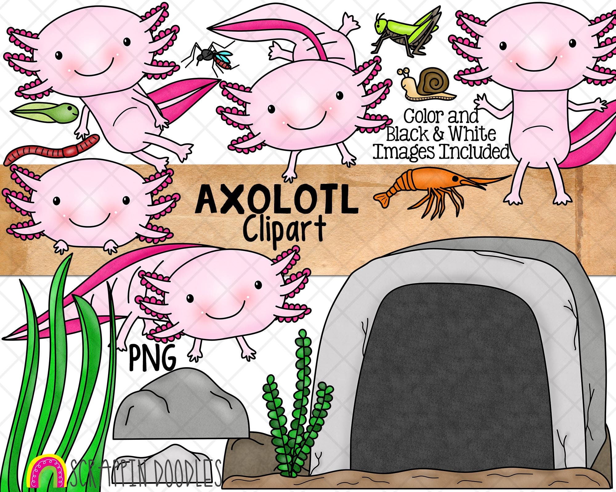 Axolotl Clipart - Salamander - Amphibian - Commercial Use - Sublimation ...