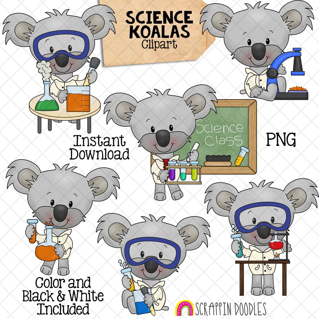Koala Clipart - School Science Koala Bears Graphics - Commercial Use ...