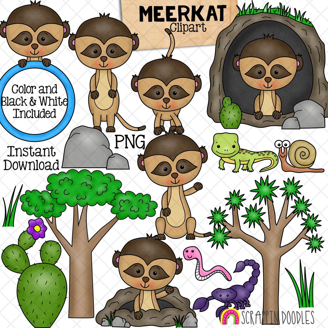 Meerkats Clipart - Habitat - Cute Meerkat - Desert Environment - Lizard ...