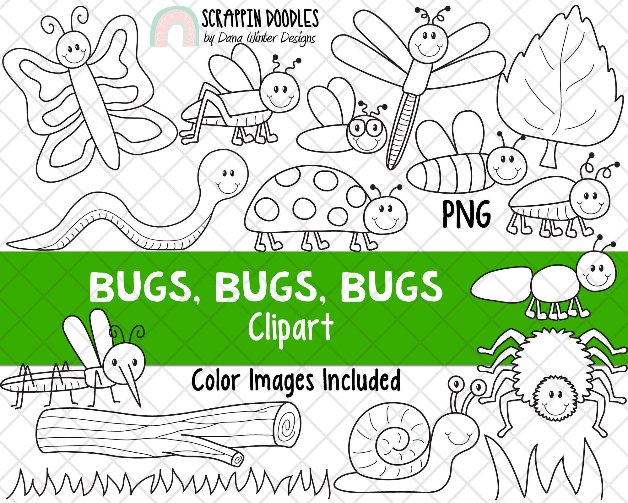 Insect Clipart Bug Clipart Catching Bugs Hand Drawn Clipart Summer Bug ...