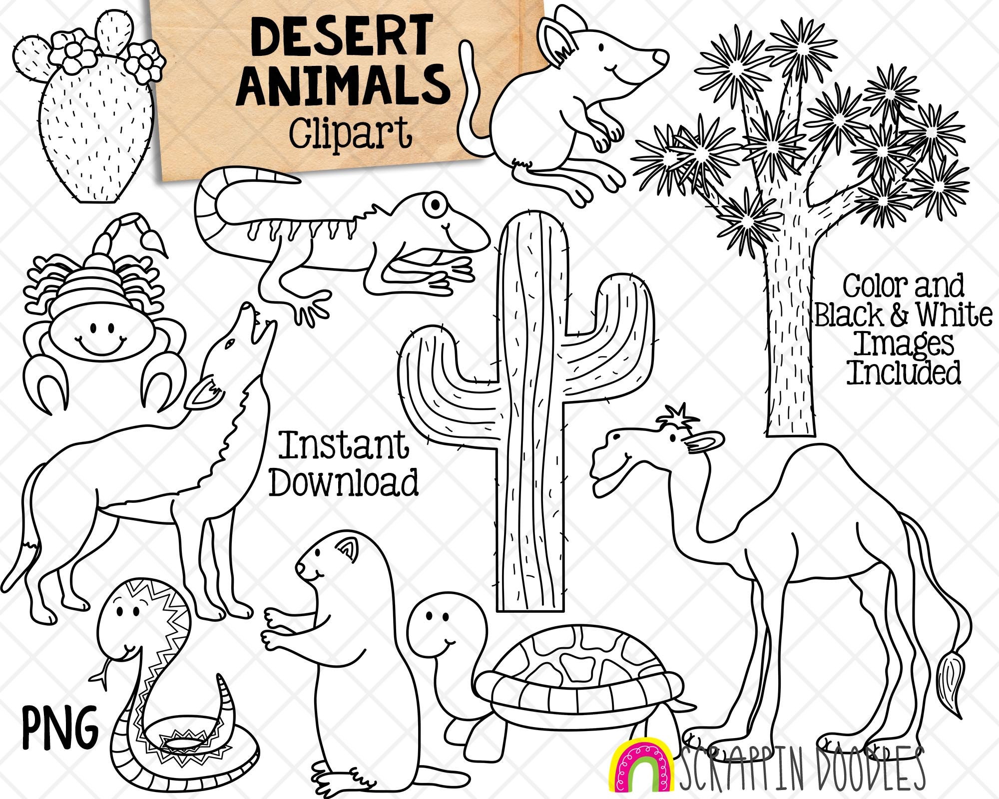 Desert Animal Clipart
