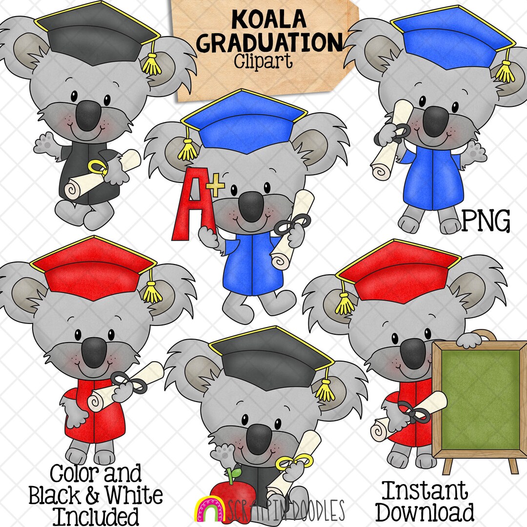 Koala Clipart - Cute Graduation Koala Bears Graphics - Commercial Use ...