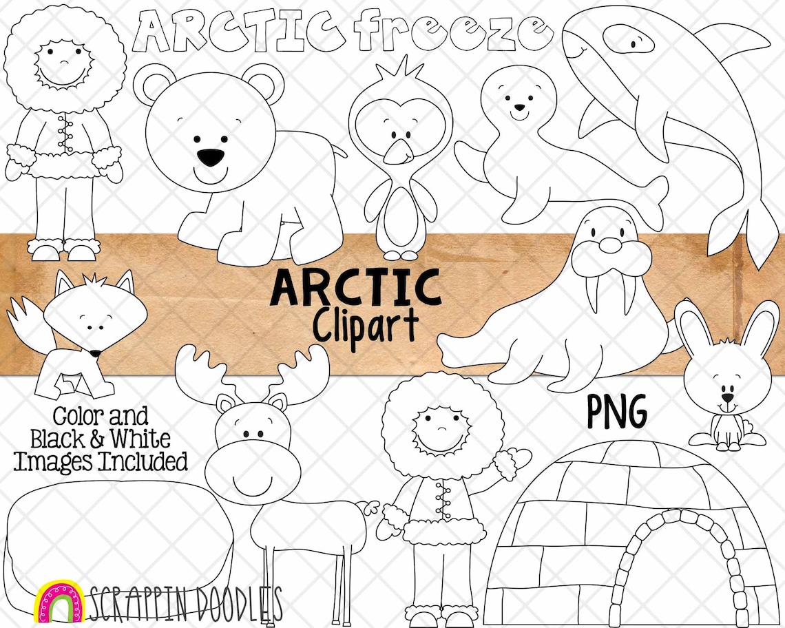 Arctic Clipart North Pole Polar Bear Igloo Walrus Seal arctic Fox Hand ...