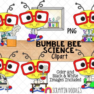Bumble Bee Clipart Bundle Commercial Use Sublimation Hand Drawn PNG - Etsy
