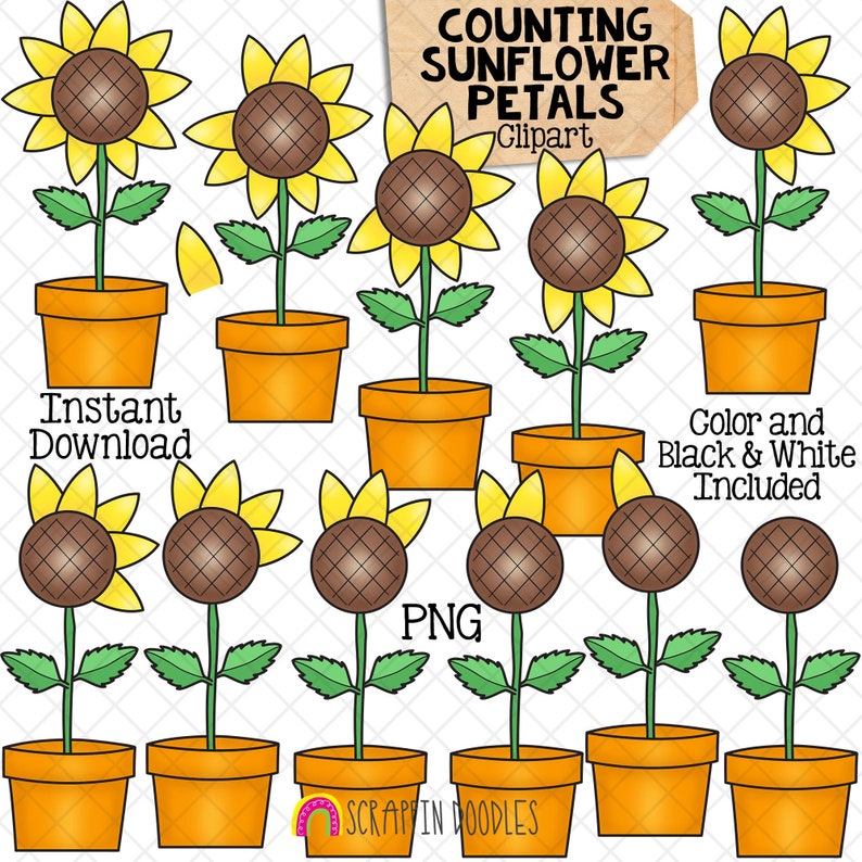 Autumn Counting Clipart Bundle - Sunflowers - Acorns - Apples ...