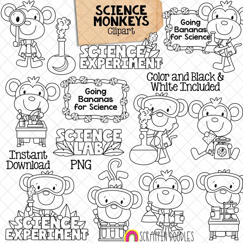 Monkey Clip Art Monkeys Doing Science Jungle Animals School Learning ...