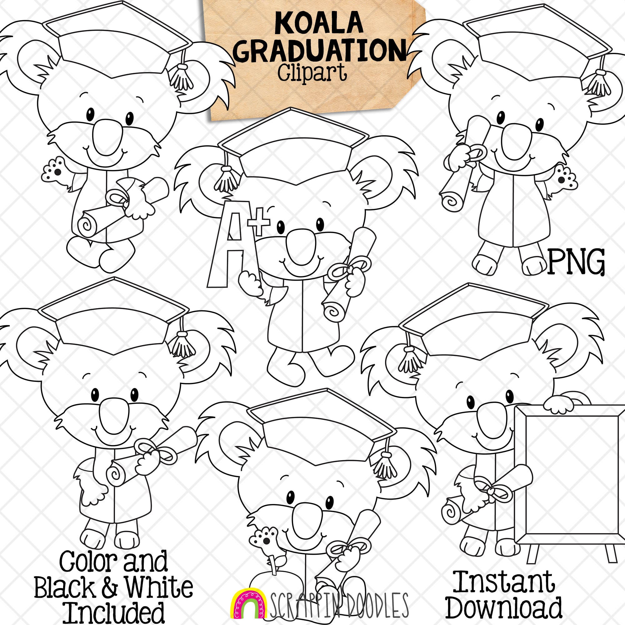Koala Clipart Cute Graduation Koala Bears Graphics Commercial Use PNG ...