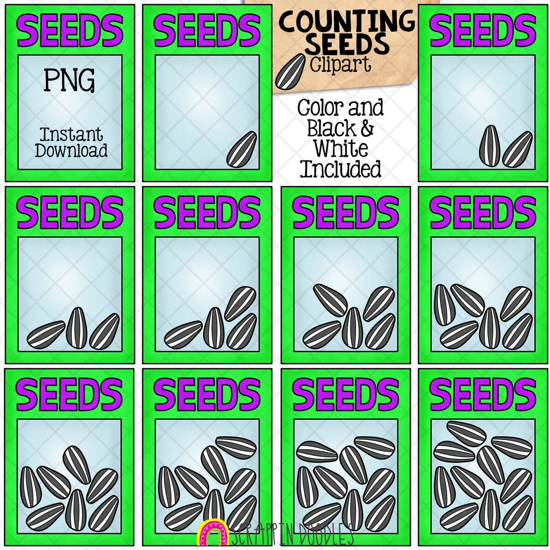 Counting Seeds in A Seed Packet Clipart - Spring Counting - Seasonal ...