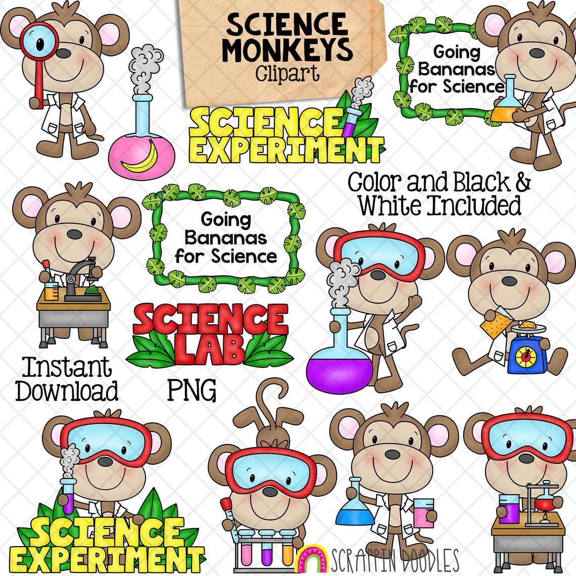 Monkey Clip Art - Monkeys Doing Science - Jungle Animals - School ...