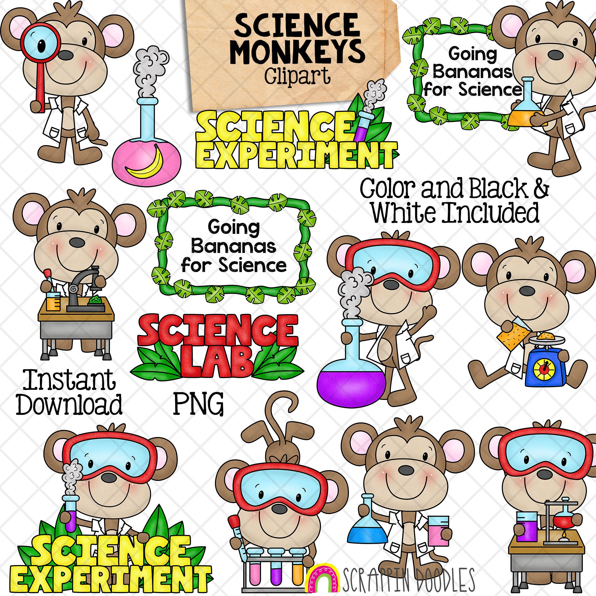Monkey Clip Art - Monkeys Doing Science - Jungle Animals - School ...