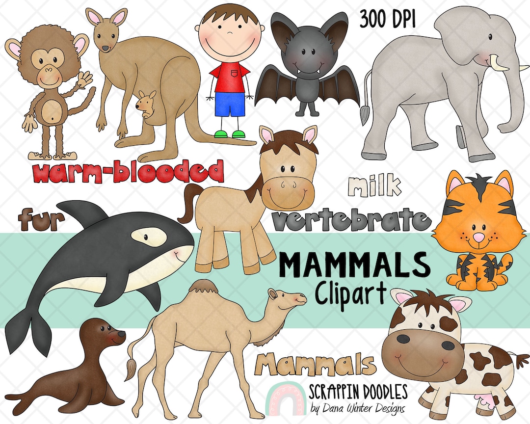 Mammals Clipart - Cute Animal Clipart - Mammal Clip Art - Instant ...