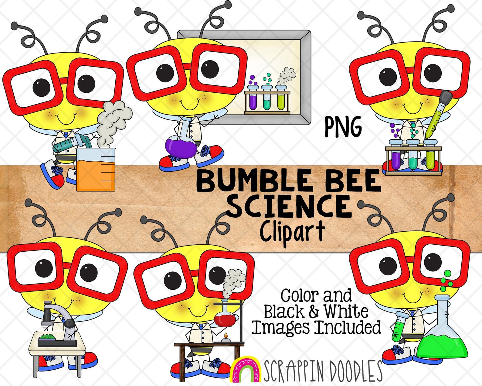 Bumble Bee Science Clipart - Commercial Use - Sublimation - Hand Drawn ...