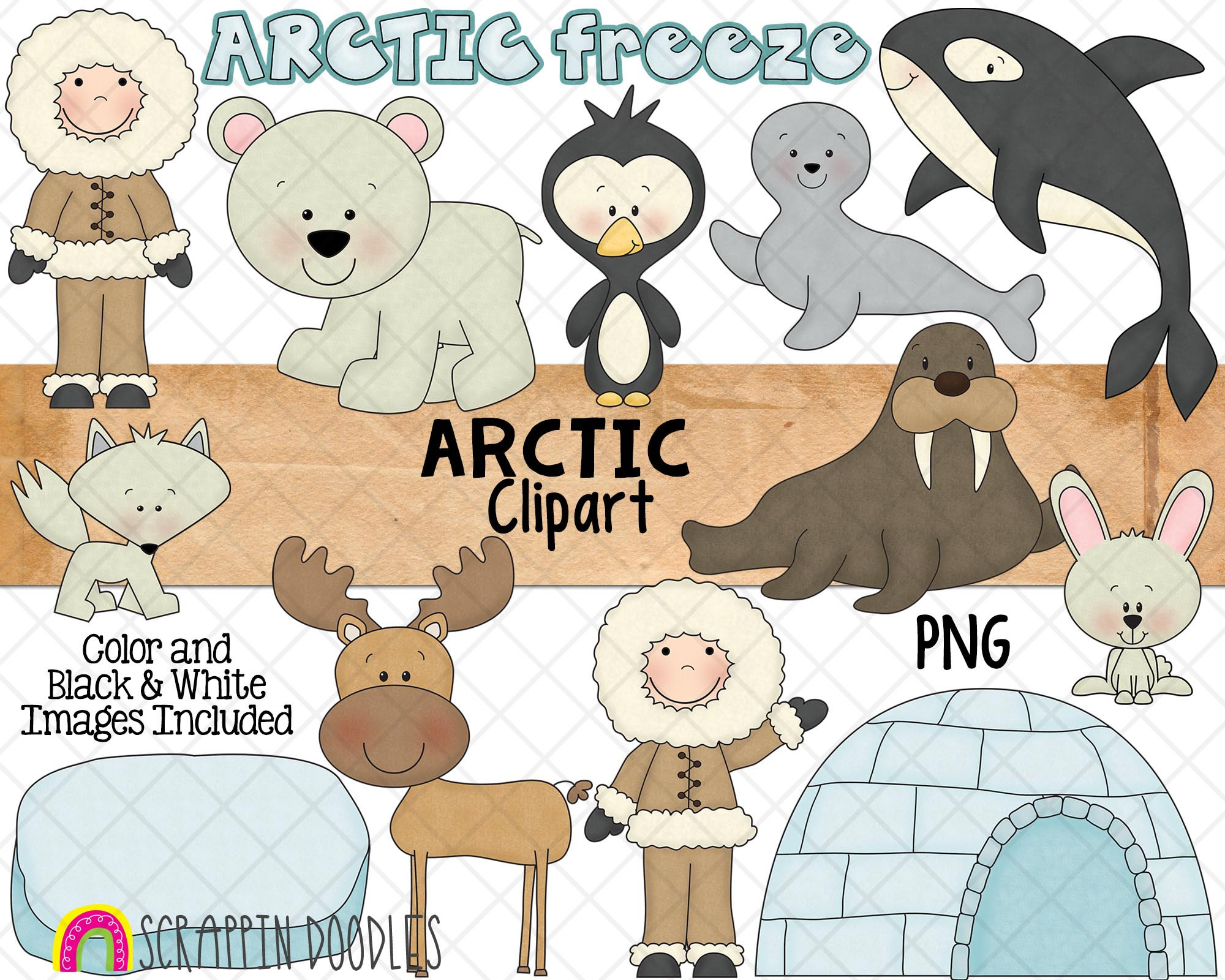 Arctic Clipart North Pole Polar Bear Igloo Walrus Seal arctic Fox Hand ...
