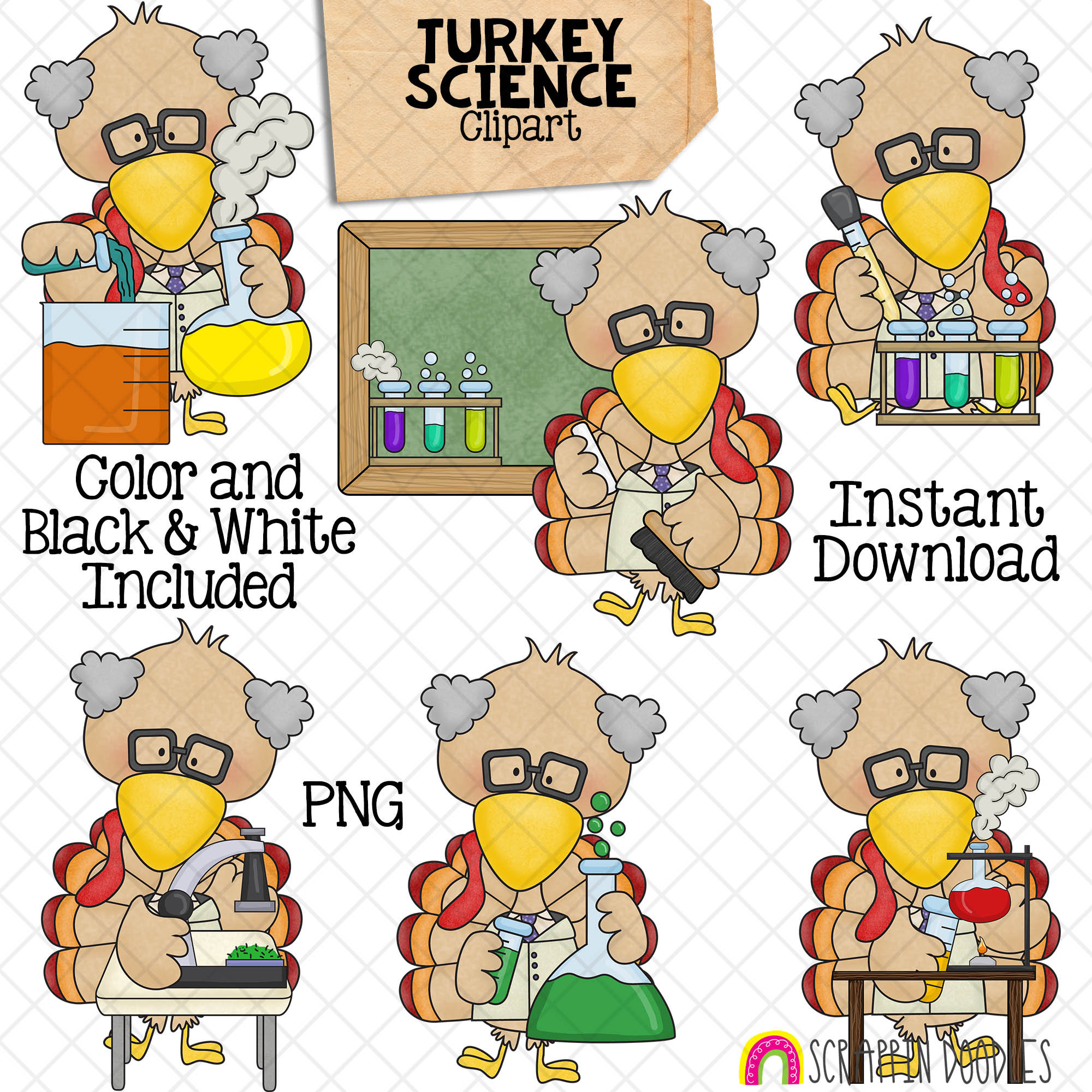 Turkey Clipart Science Turkeys Clip Art Cute School - Etsy