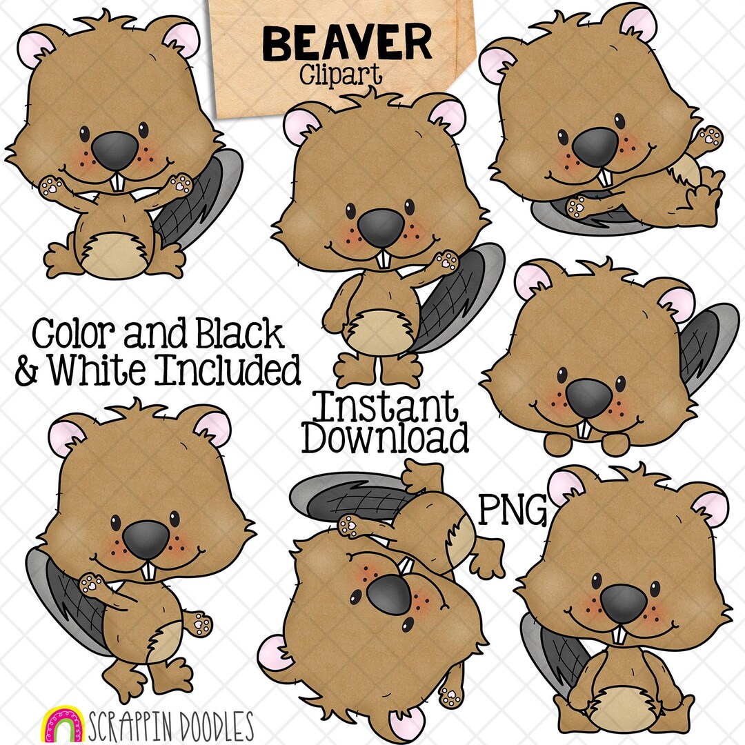Beaver Clipart - Beavers Posing - Different Poses - Peeking - Laying ...