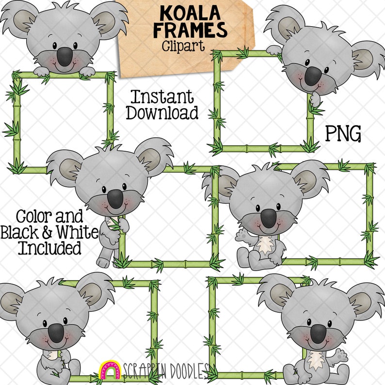 Koala Clipart Bamboo Frame Koala Bears Graphics Commercial - Etsy