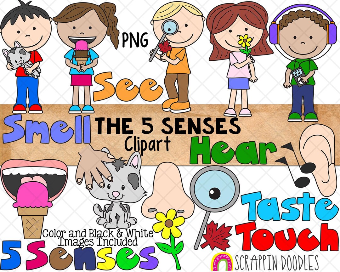 5 Senses Clip Art - Five Human Senses - Hear -see -taste - Touch ...