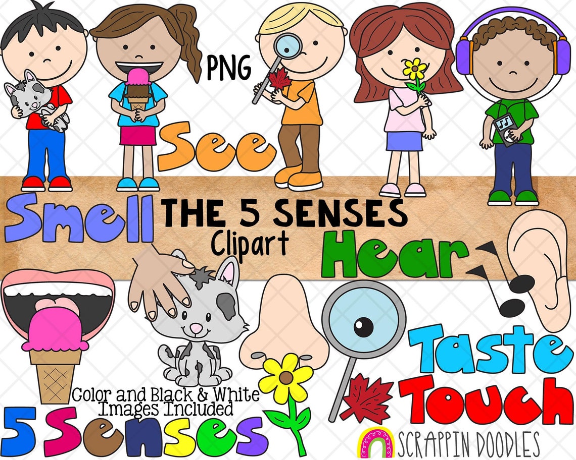 5 Senses Clip Art - Five Human Senses - Hear -see -taste - Touch ...