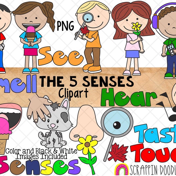 See Hear Taste Smell - Etsy