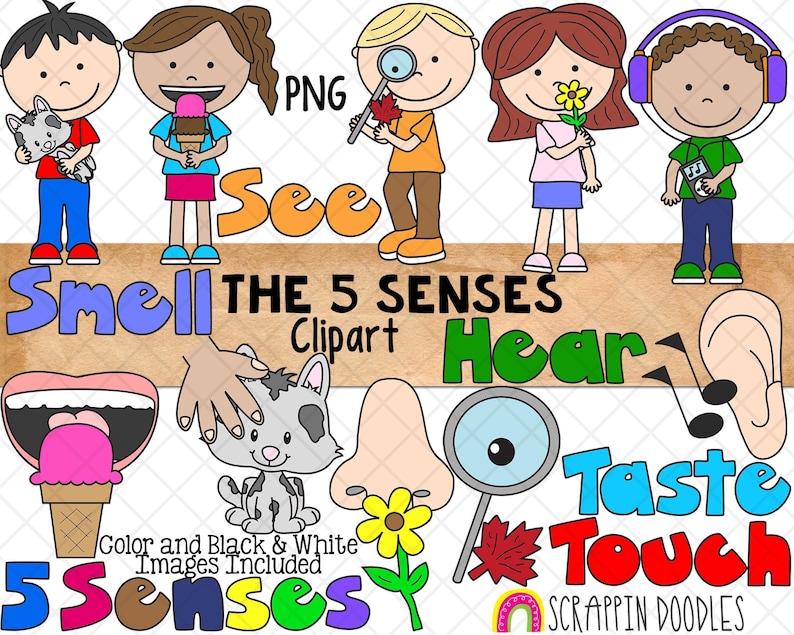 5 Senses Clip Art - Five Human Senses - Hear -see -taste - Touch ...