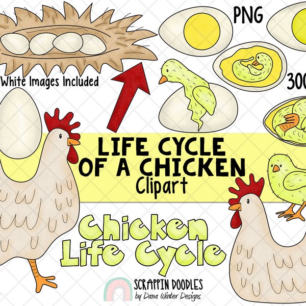 Hatching Chicken Clipart - Etsy