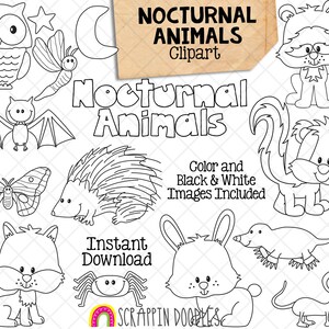 Nocturnal Animals Clipart - Porcupine - Moth - Mole - Skunk ...
