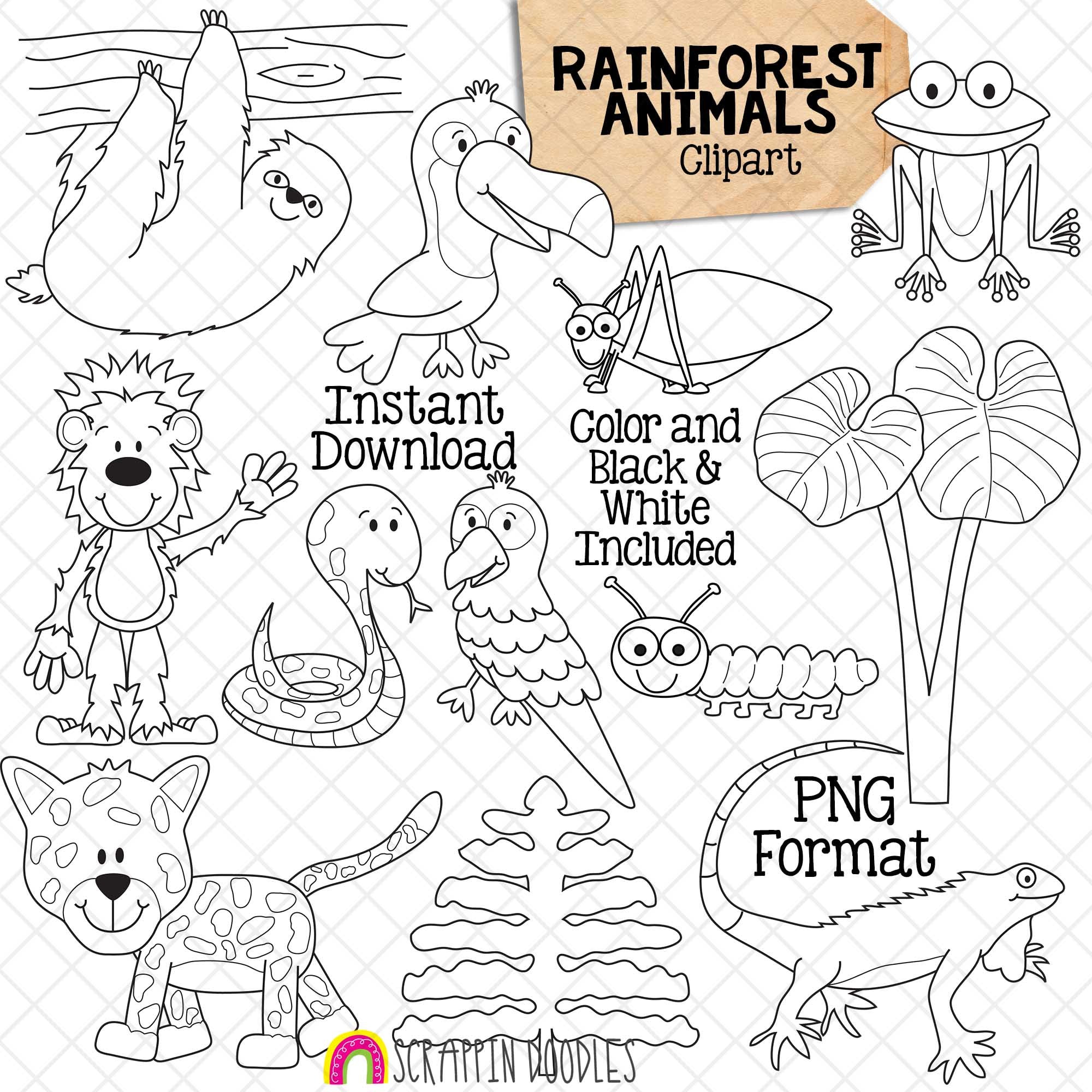 Rainforest Clipart Habitat Sloth Jaguar Toucan Red Eyed Tree Frog ...