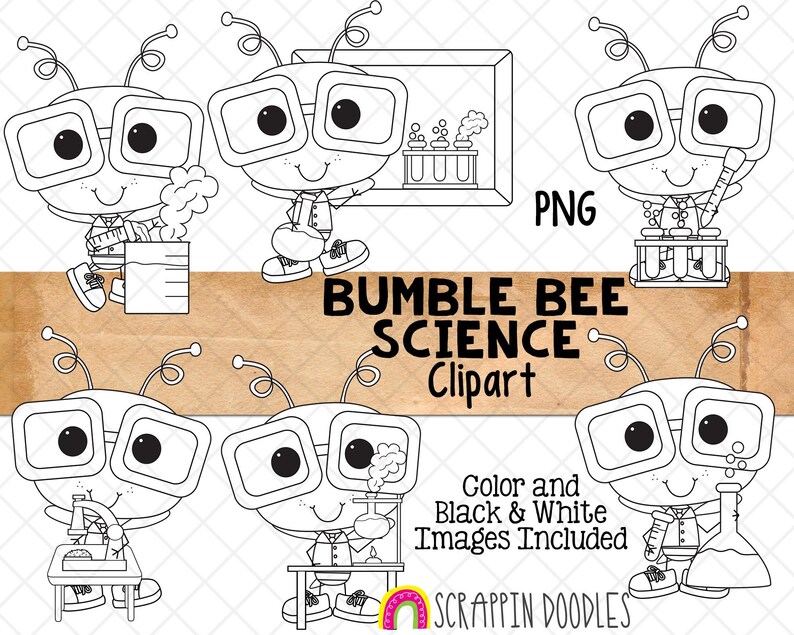 Bumble Bee Science Clipart Commercial Use Sublimation - Etsy