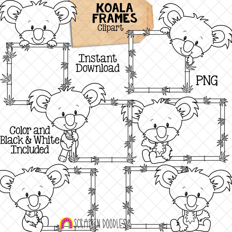 Koala Clipart Bamboo Frame Koala Bears Graphics Commercial - Etsy