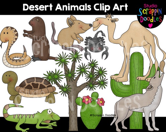 Desert Plants And Animals Clip Art